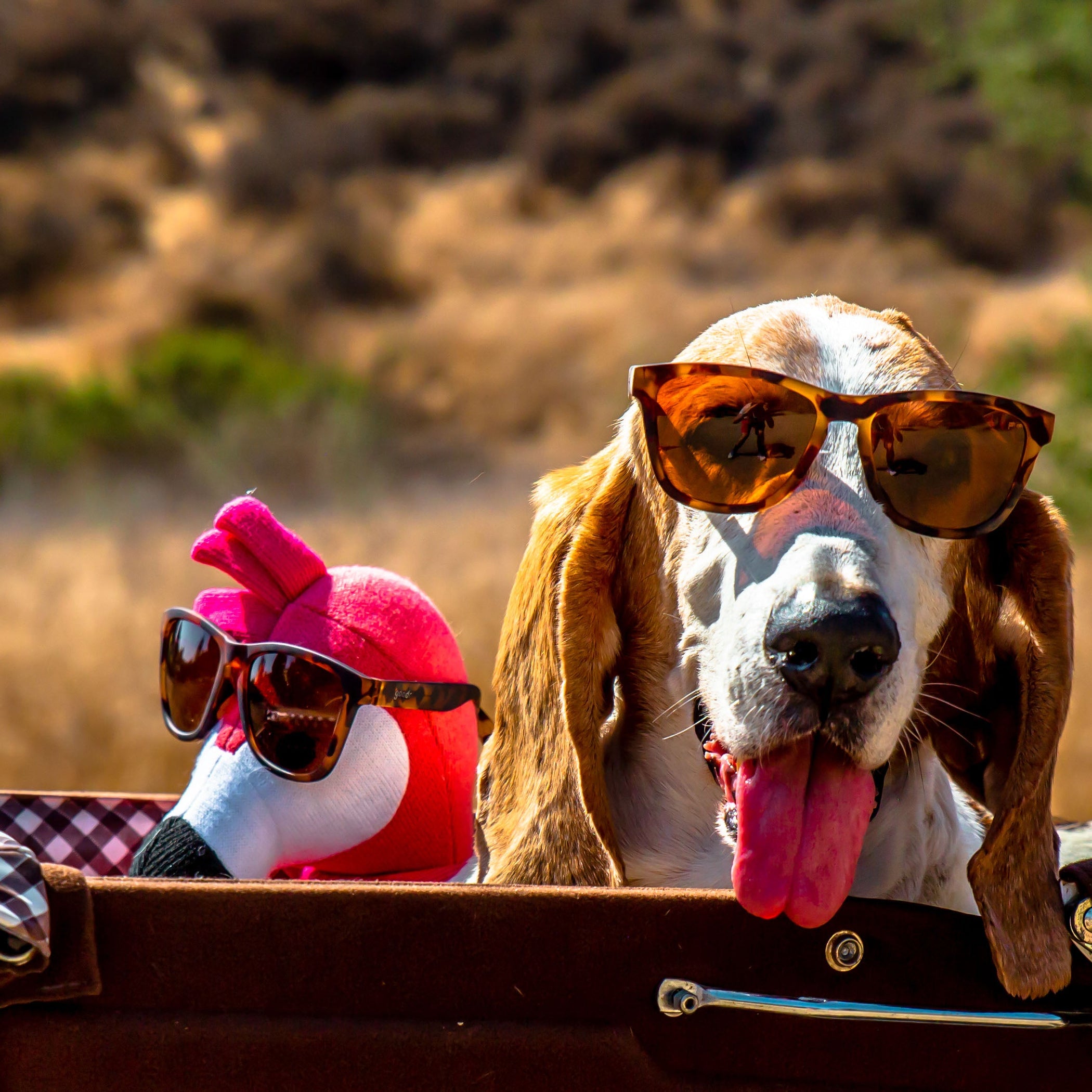 goodrTIMES | The goodr sunglasses Blog